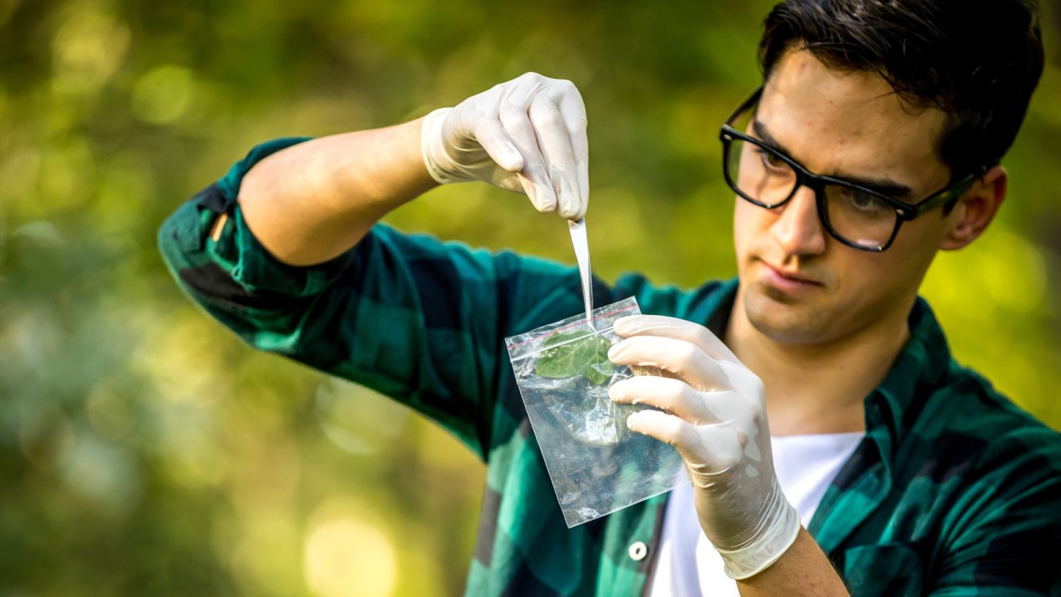 Dia do Biólogo: conheça alguns nomes que fizeram história na biologia