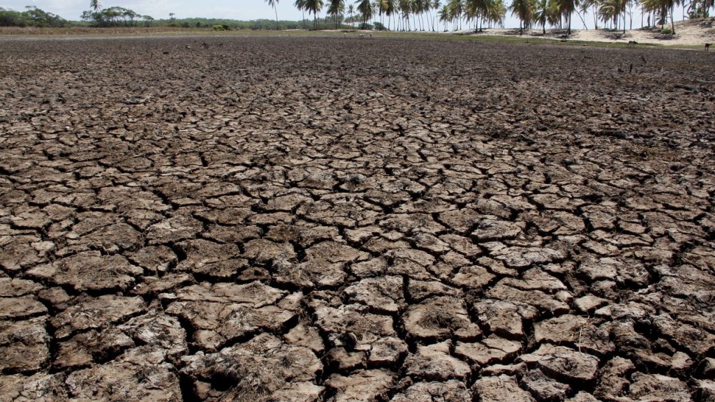 O calor e a seca que transformaram o Brasil em um deserto!