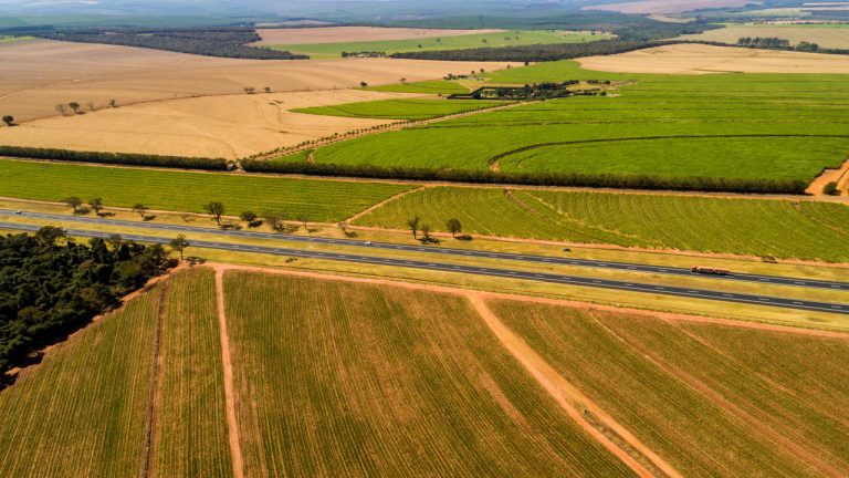 Goiás é o destino mais completo do Brasil para quem ama história e natureza
