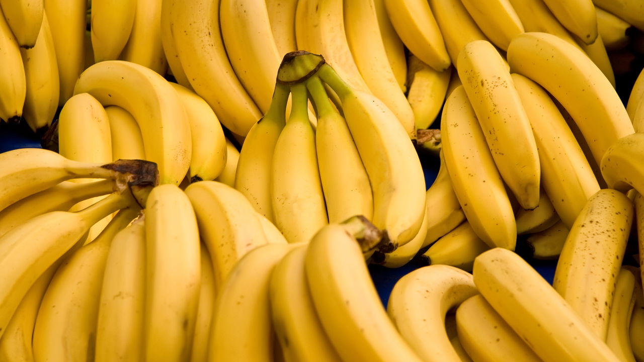 Você com certeza ama essas frutas, e agora pode cultivá-las em casa