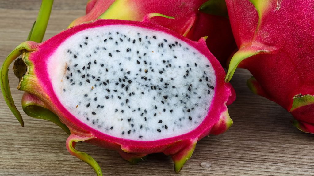 Saiba como plantar, cultivar e aproveitar todos os benefícios da pitaya