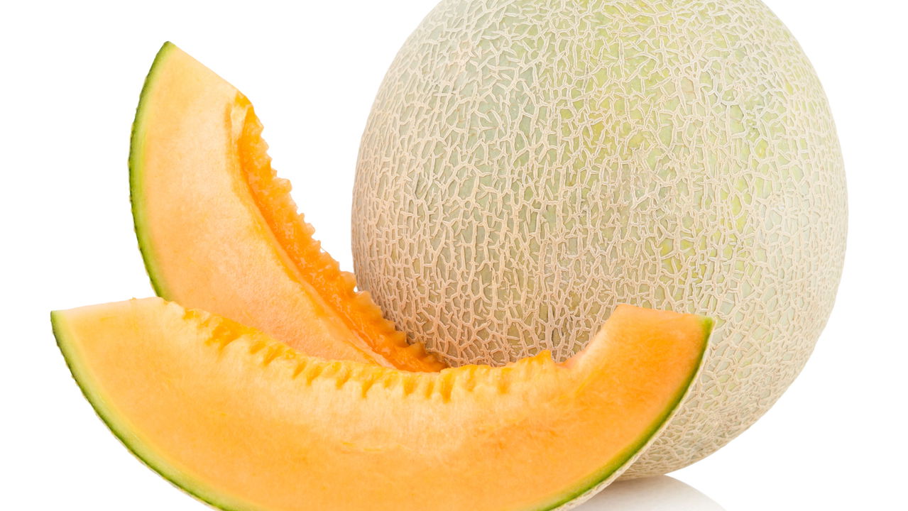 Guia prático de como plantar melão no quintal de casa