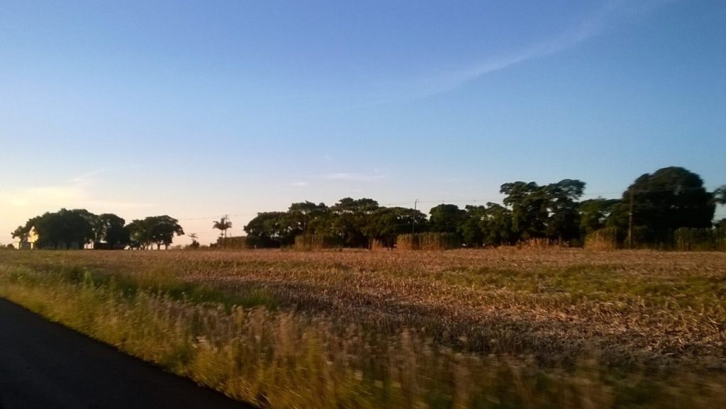 Toledo é a cidade com a melhor qualidade de vida do Paraná