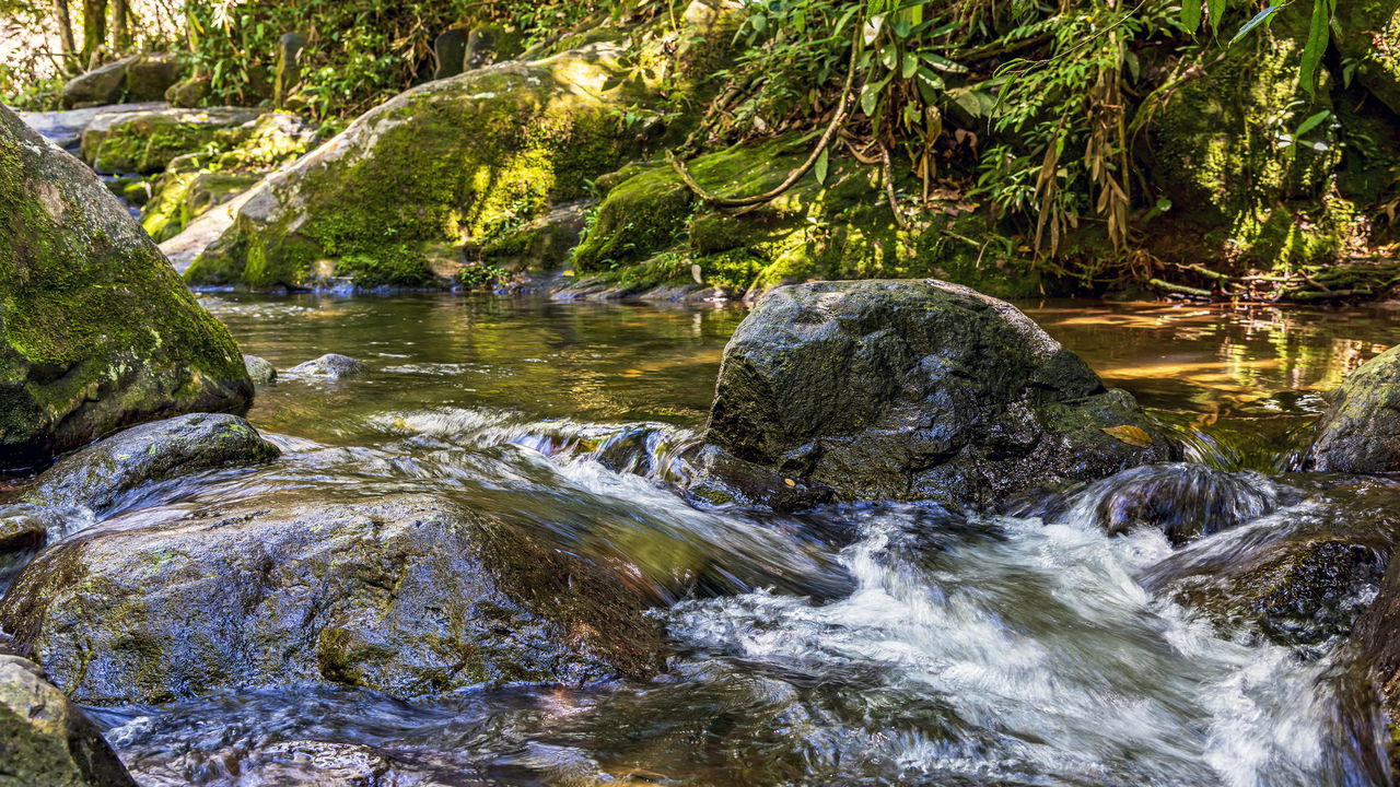 O fenômeno de inverno que transforma Itatiaia em cenário europeu