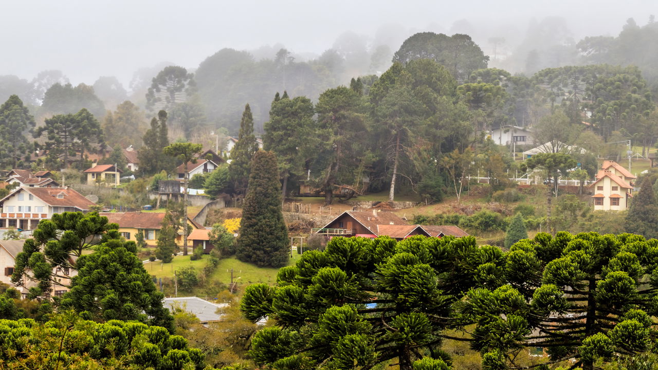 Motivos que fazem Monte Verde ser o destino mais charmoso do inverno ...