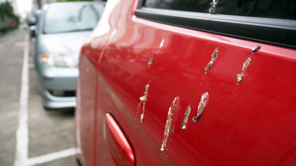 Essa substância no seu carro pode corroer a pintura em poucas horas