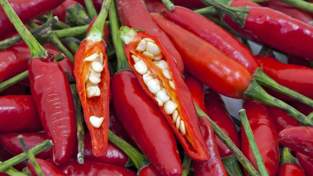 Essa pimenta deixa seu espaço mais bonito e ainda vai direto para cozinha