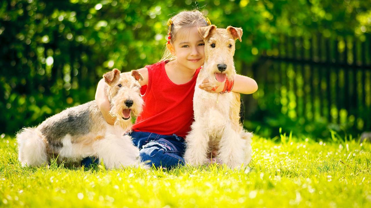 O cuidado mais importante para unir cães e crianças com segurança